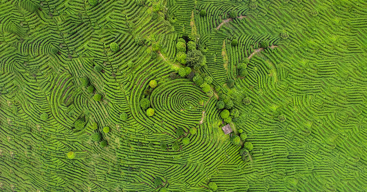 Cisco’s continued journey to net zero - Cisco Blogs