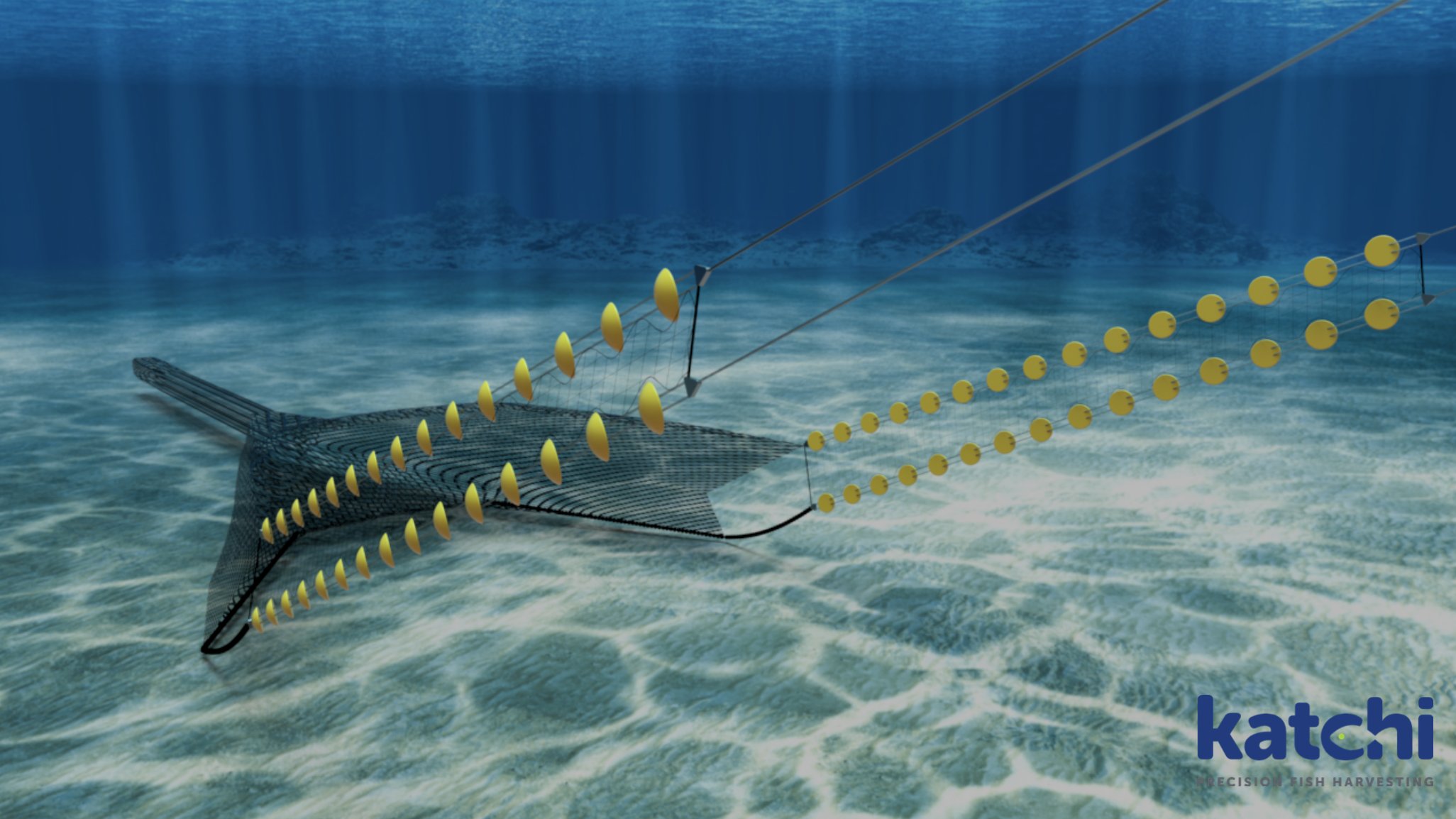 Katchi: How sustainable fishing helps both fishers and the ocean ...