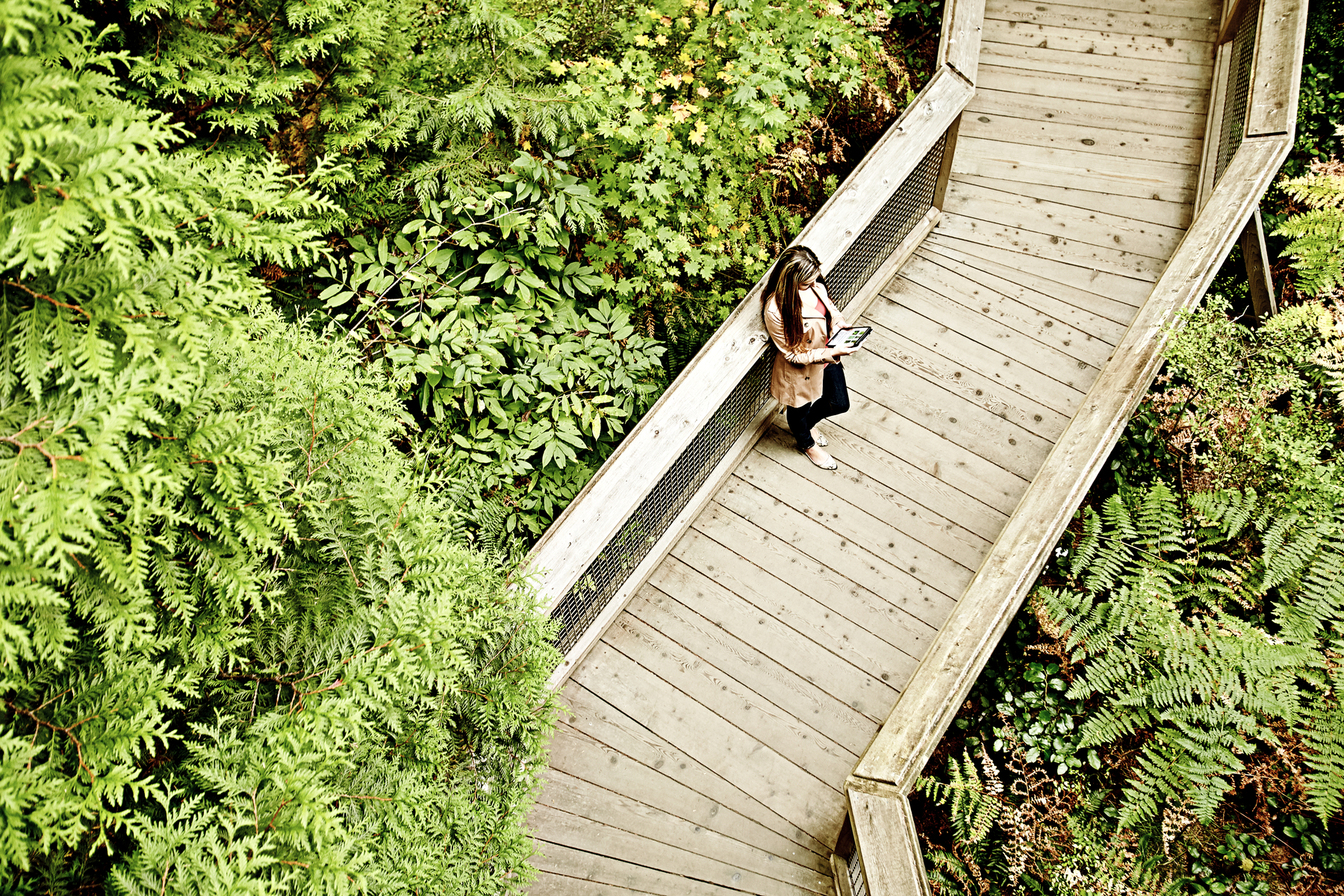 Why sustainability is important to members of Cisco’s Green Team ...