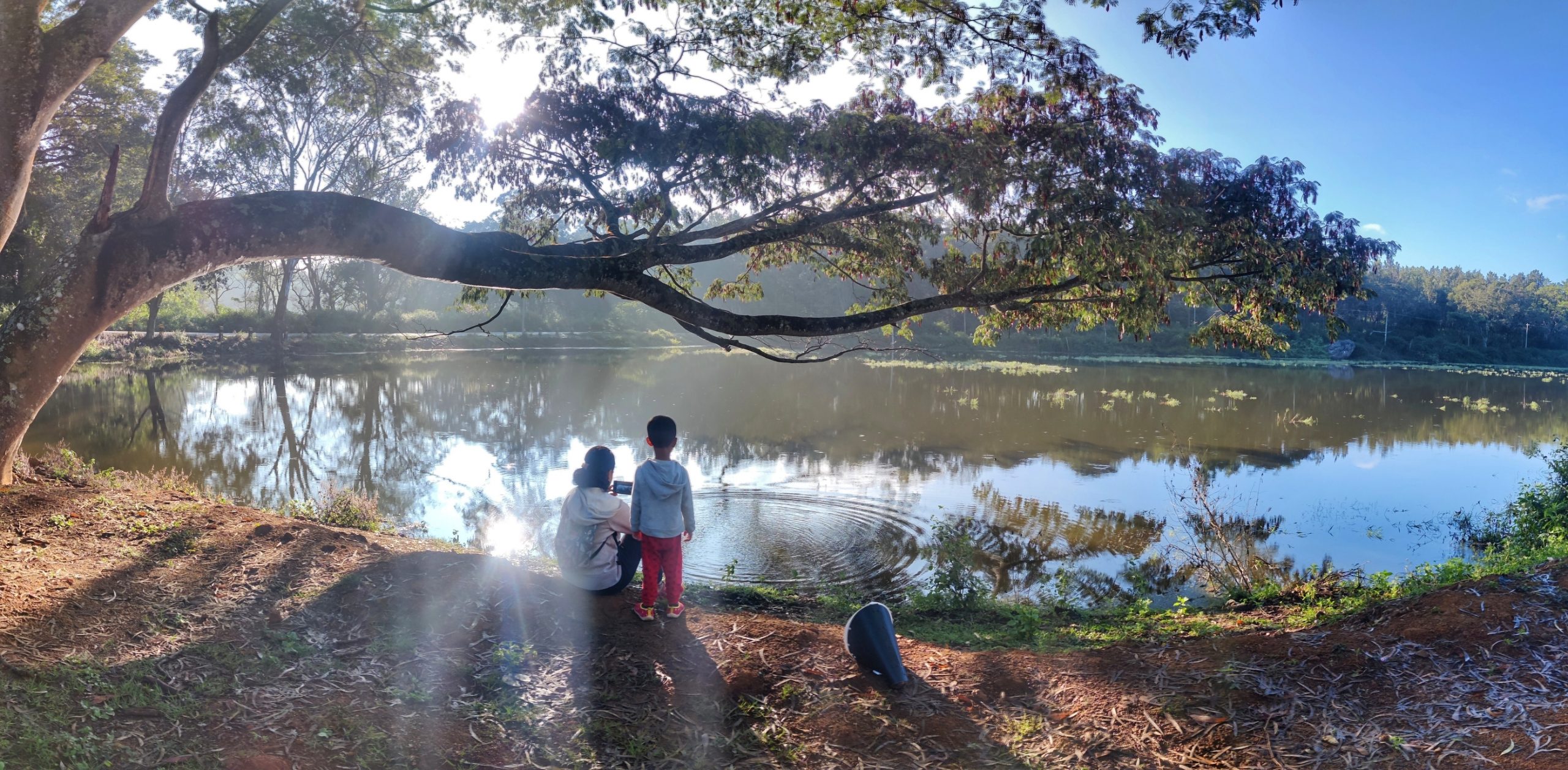 From waste to wonders: My sustainability journey with Cisco's Green ...
