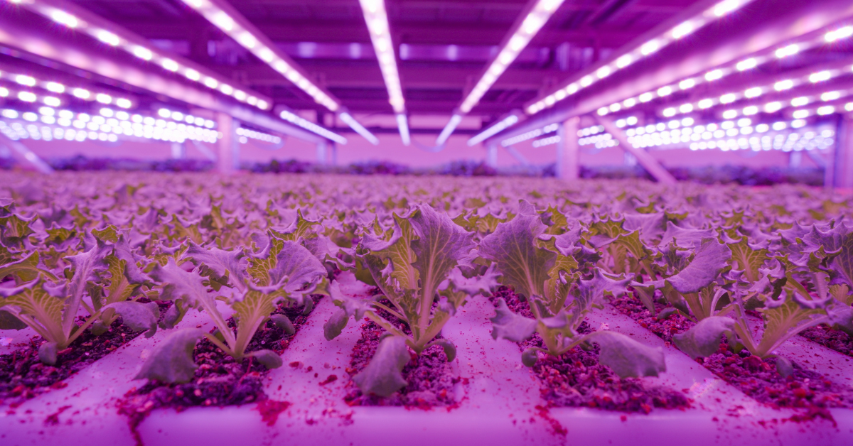 Revolutionizing Farming: Planet Farms and Cisco Industrial Networks ...