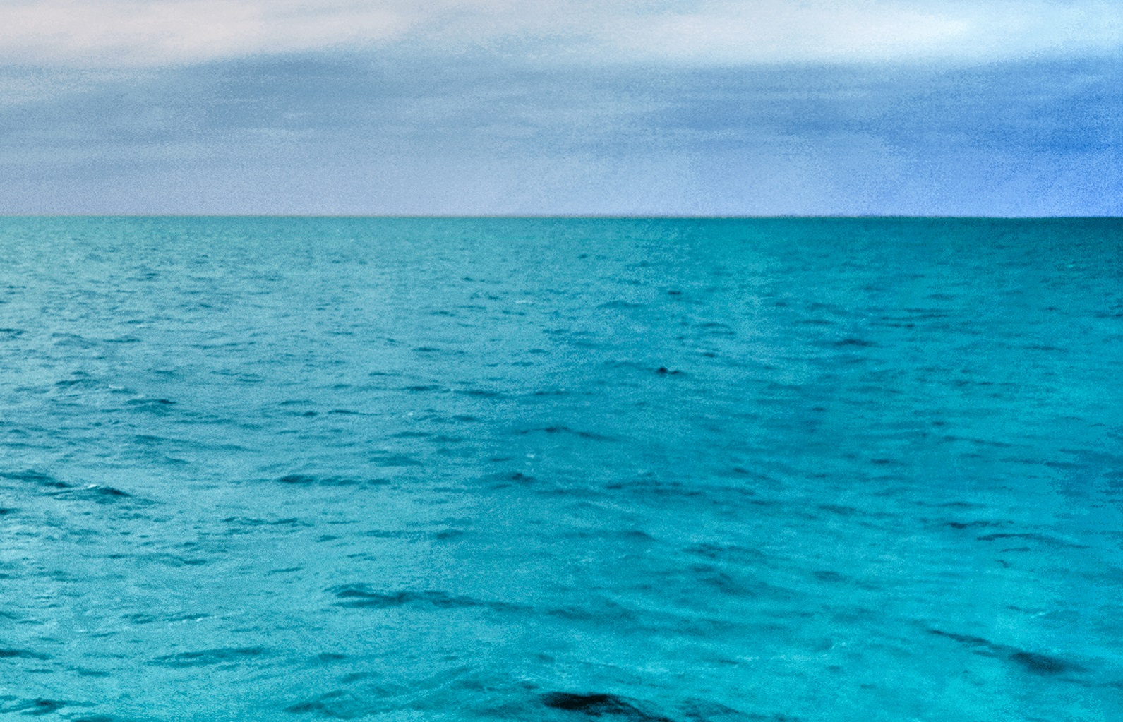 Growth of Submarine Cables and How the Cisco NCS 1004 Fits - Cisco Blogs